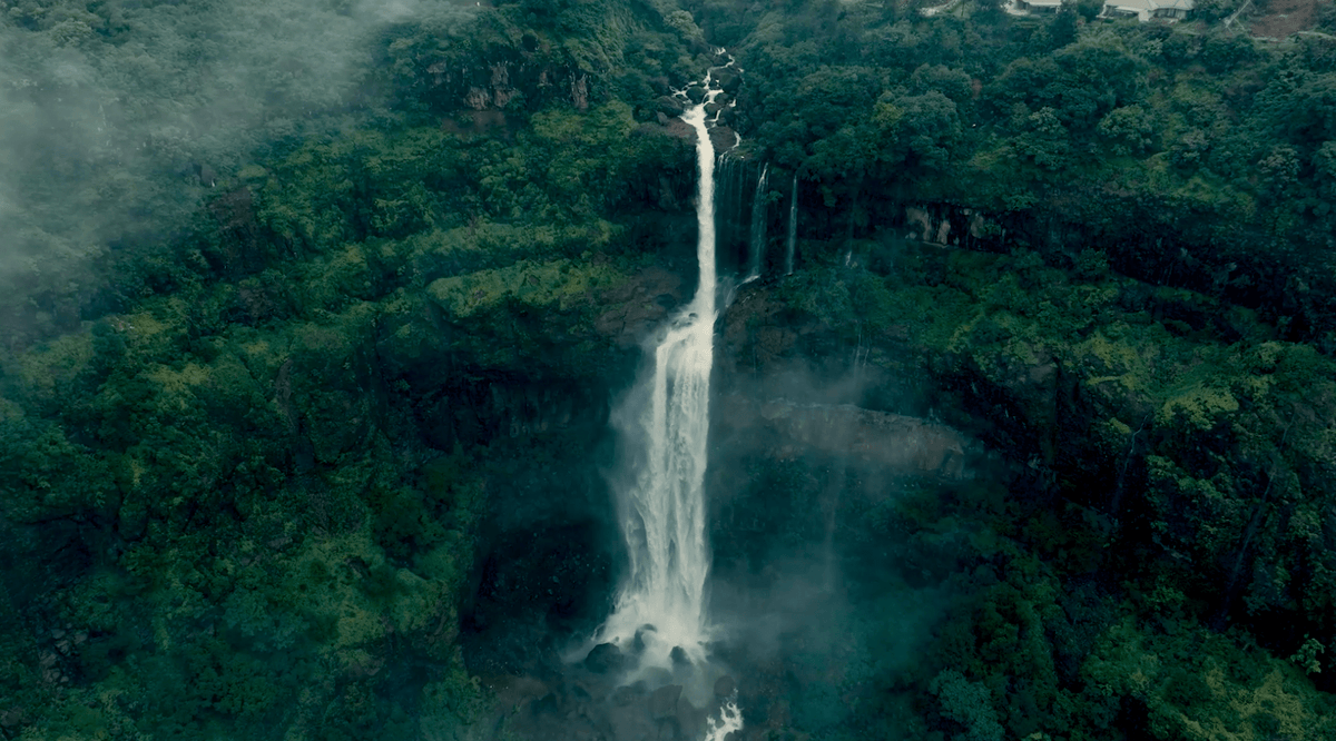 Life on Planet Earth SFX | 500+ Nature and Ambience Sound Effects ...
